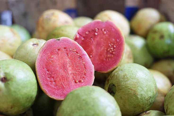 Health Benefits Of Guava – DoctorPanie