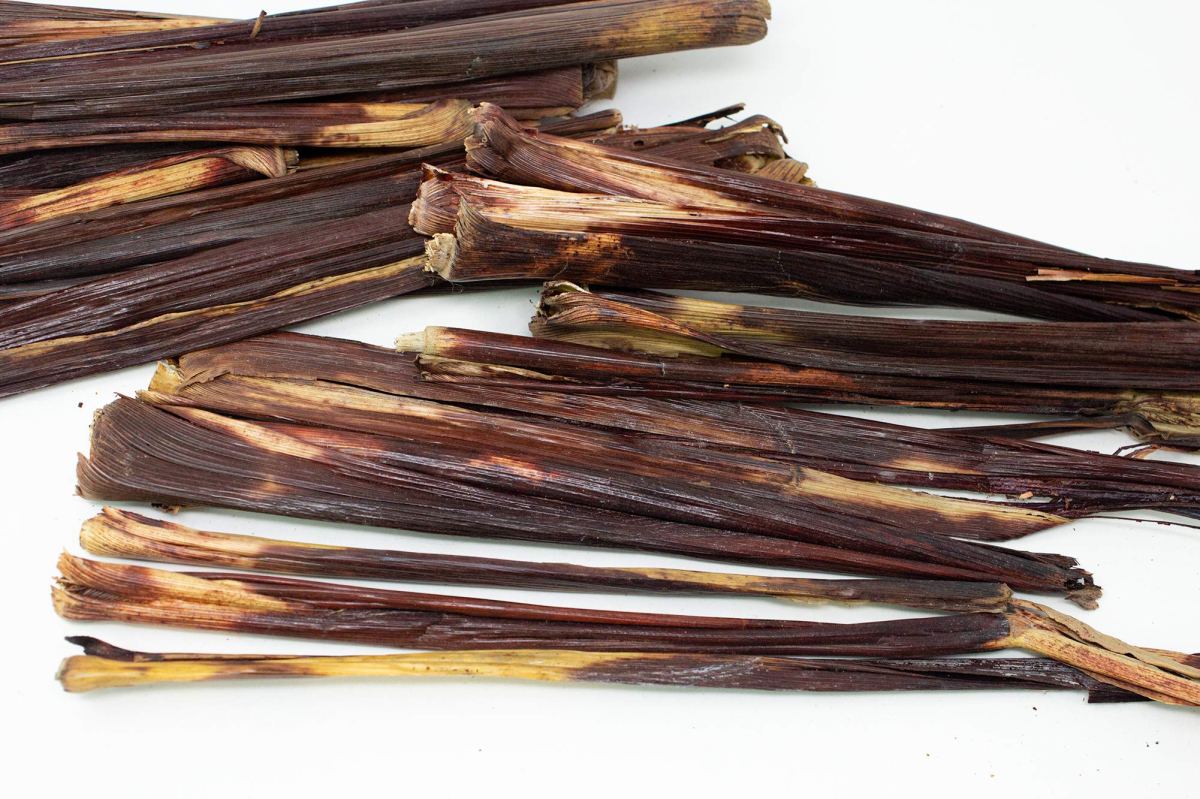 10 Health Benefits Of Sorghum Leaves – DoctorPanie