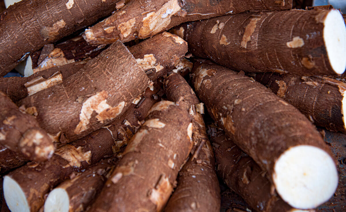 Is Cassava Bad For You? – DoctorPanie